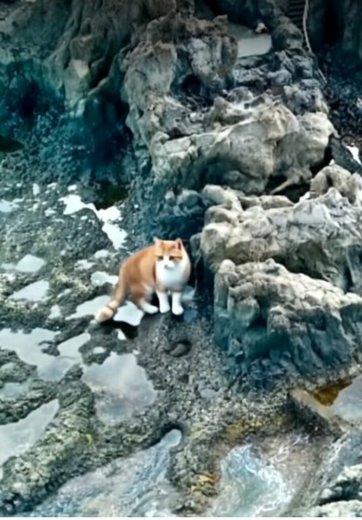 Dağ zirvesi Cerro de Los Inocentes 1650 meters, , foto