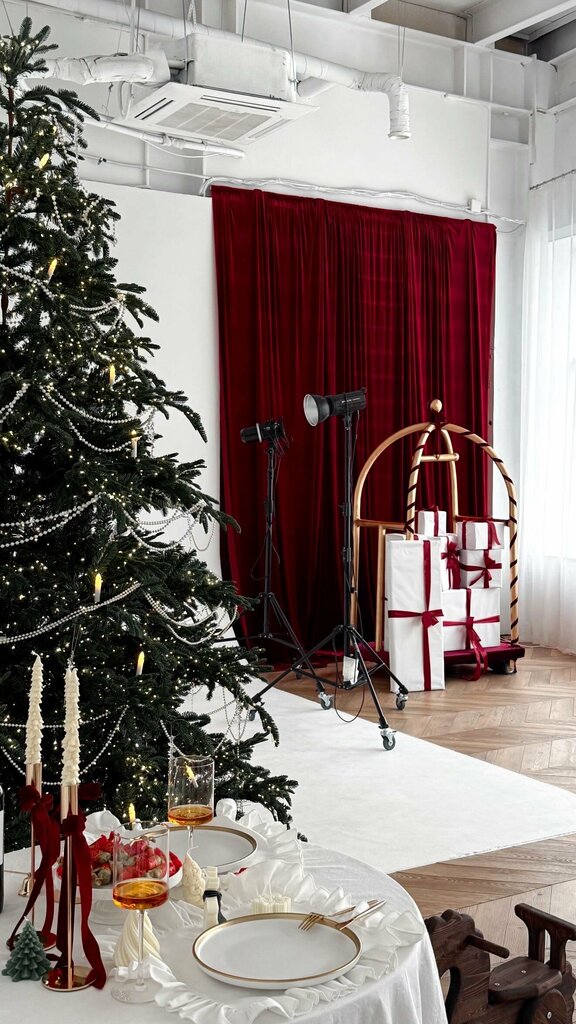 Profesyonel fotoğraf stüdyosu 224point, Vologda, foto