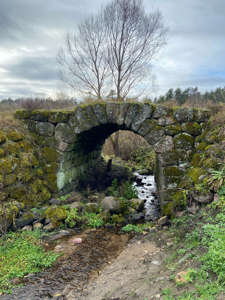 Turistik yerler Каменный мост, Tverskaya oblastı, foto