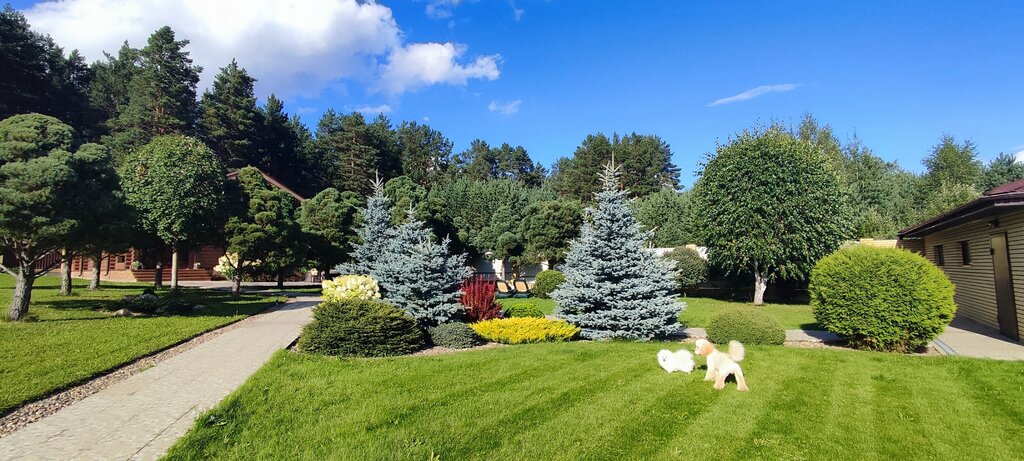 Pet otel Зоогостиница Лапкин Дом, Sverdlovskaya oblastı, foto