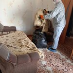 Про-Партнер (prospekt Arkhitektorov No:16), temizlik şirketleri  Novokuznetsk'ten