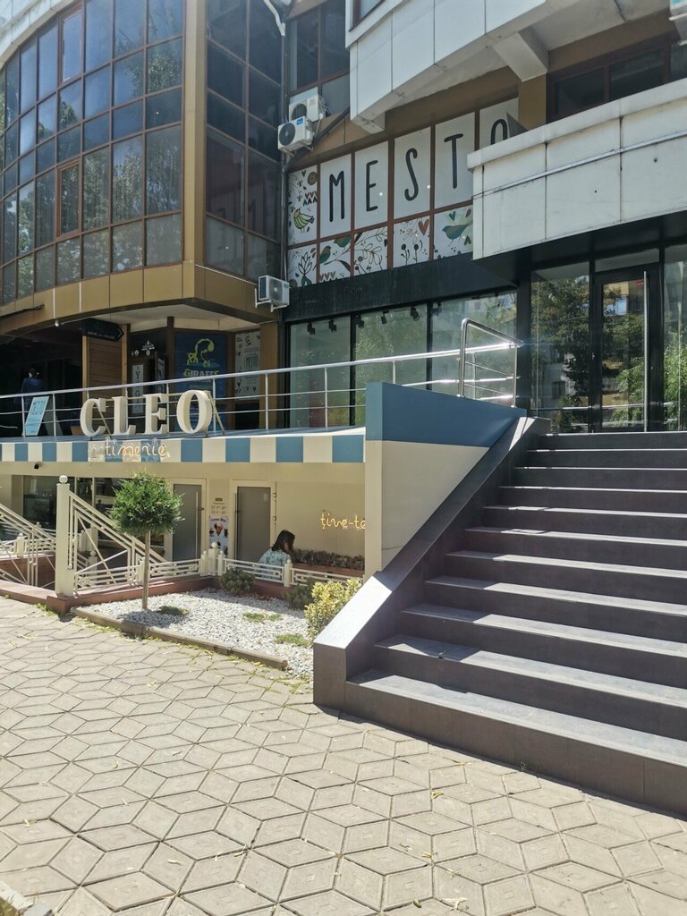 Kurs Giraffe, Kişinev, foto
