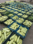 Сельскохозяйственная продукция (posyolok Kosmodemyanskoye, Selskaya ulitsa, 4А), agricultural goods  Kaliningradskaya oblastından