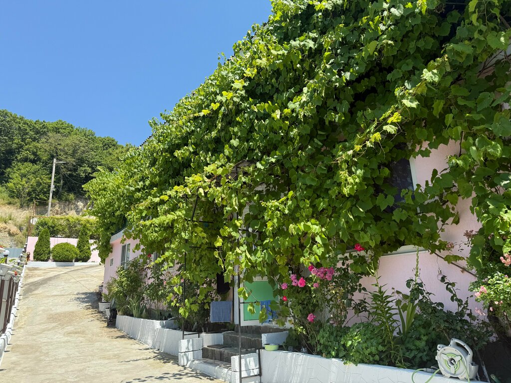 Konuk evi Guest House Tabalov, Krasnodarski krayı, foto