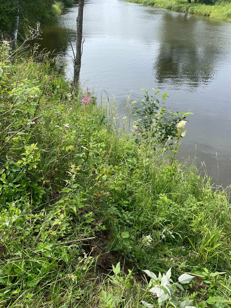 Plaj Beach, Moskova ve Moskovskaya oblastı, foto