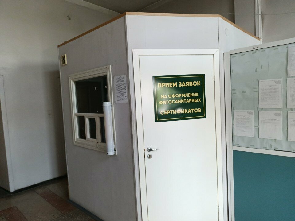 Besin takviyesi, aktariye Прием заявок на оформление санитарных сертификатов, Barnaul, foto