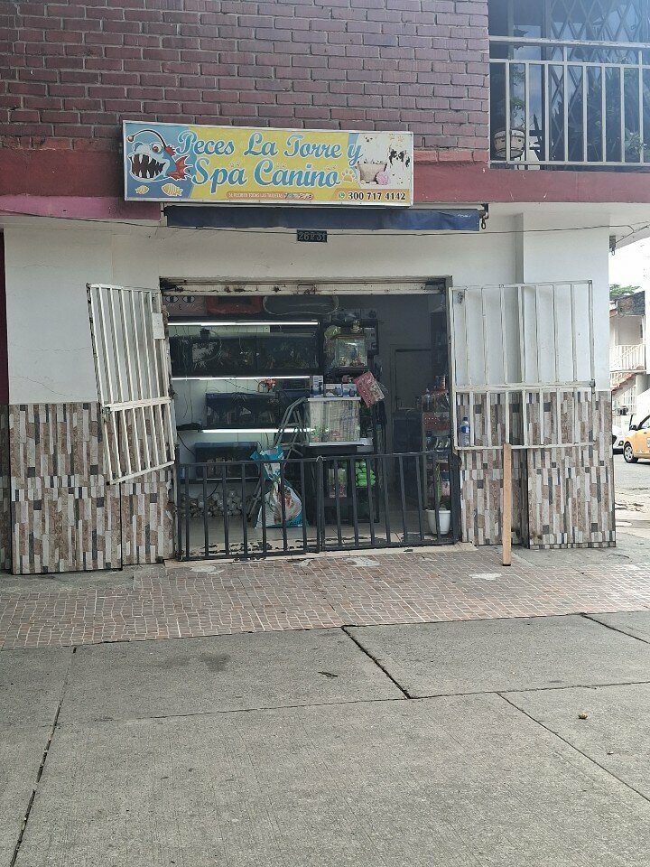 Akvaryumlar Peces la torre y SPA canino, Cali, foto