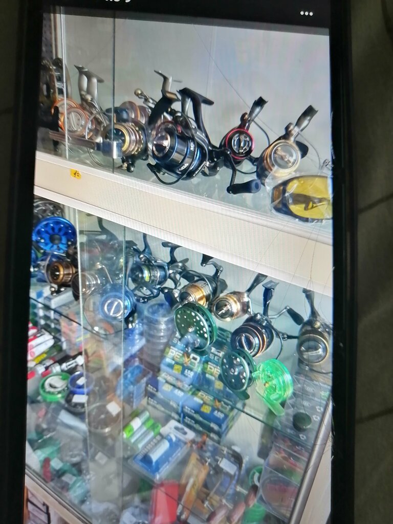 Fitness ve spor ekipmanı firmaları Chempion, Birobidgan, foto