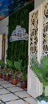 Oltin baliq (Abdulhamid Choʻlpon koʻchasi No:88), kafe  Semerkant'tan