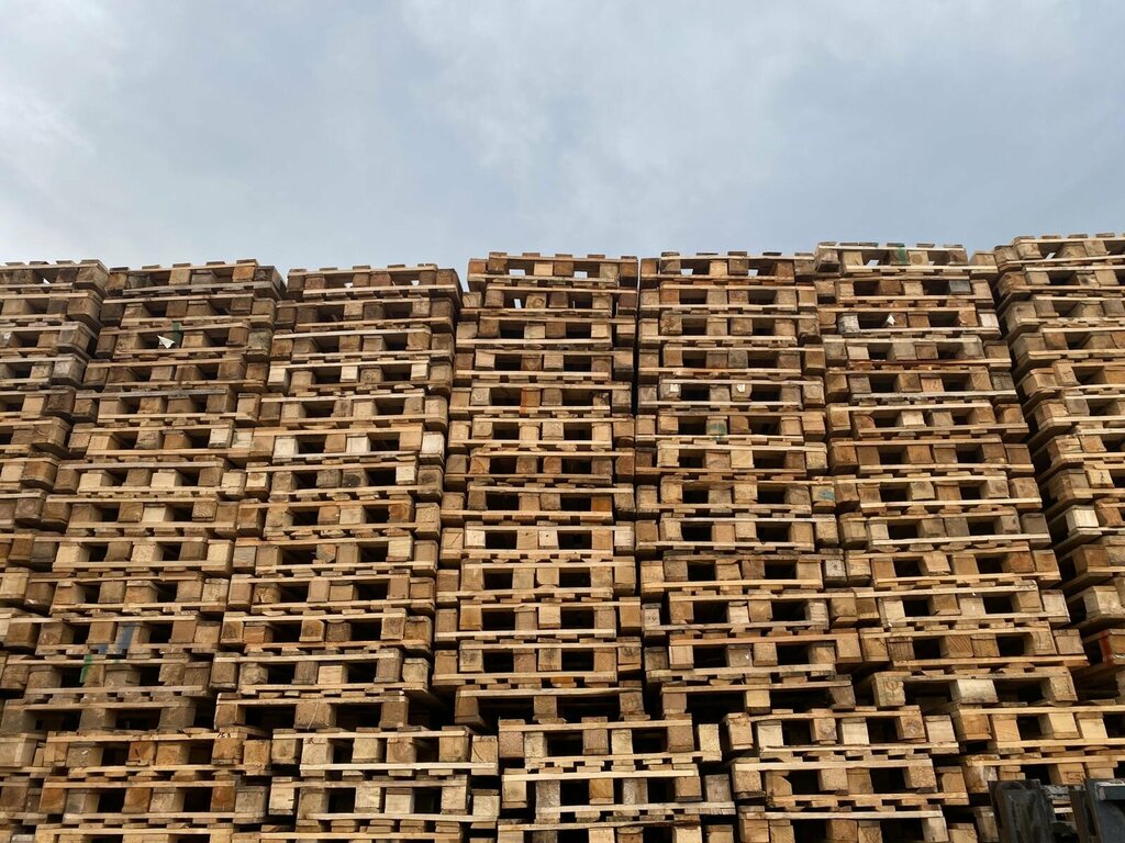 Paletler Поддоны 24, Balaşiha, foto
