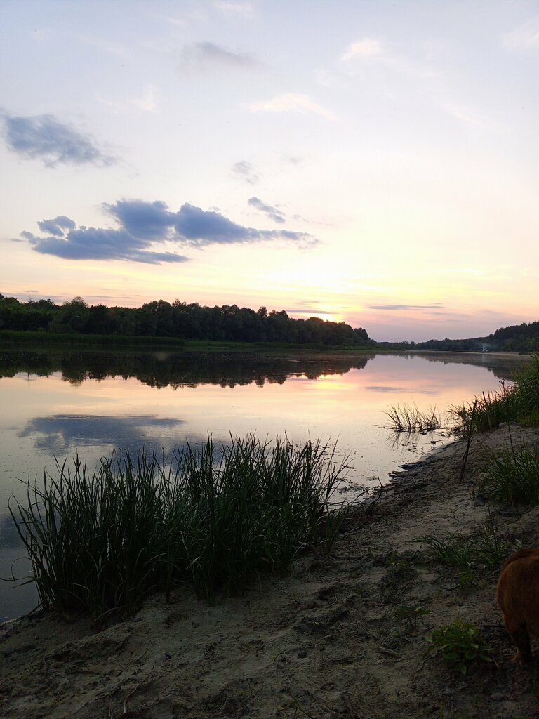 Evsizler için sığınma evleri Летний домик, Voronejskaya oblastı, foto