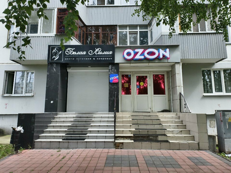 Teslimat noktası Ozon, Naberejniye Çelny (Yar Çallı), foto