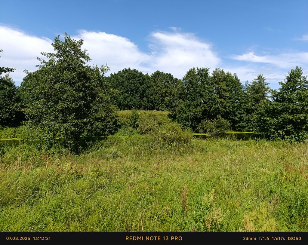 Plaj Пляж, Nijegorodskaya oblastı, foto