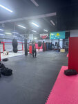 Triumph Fights (No:21Б, 5th microdistrict), spor kulüpleri  Almatı'dan