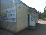 Stels (Komsomolskaya Street No:16Б), bisiklet mağazaları  Sosnoviy Bor'dan