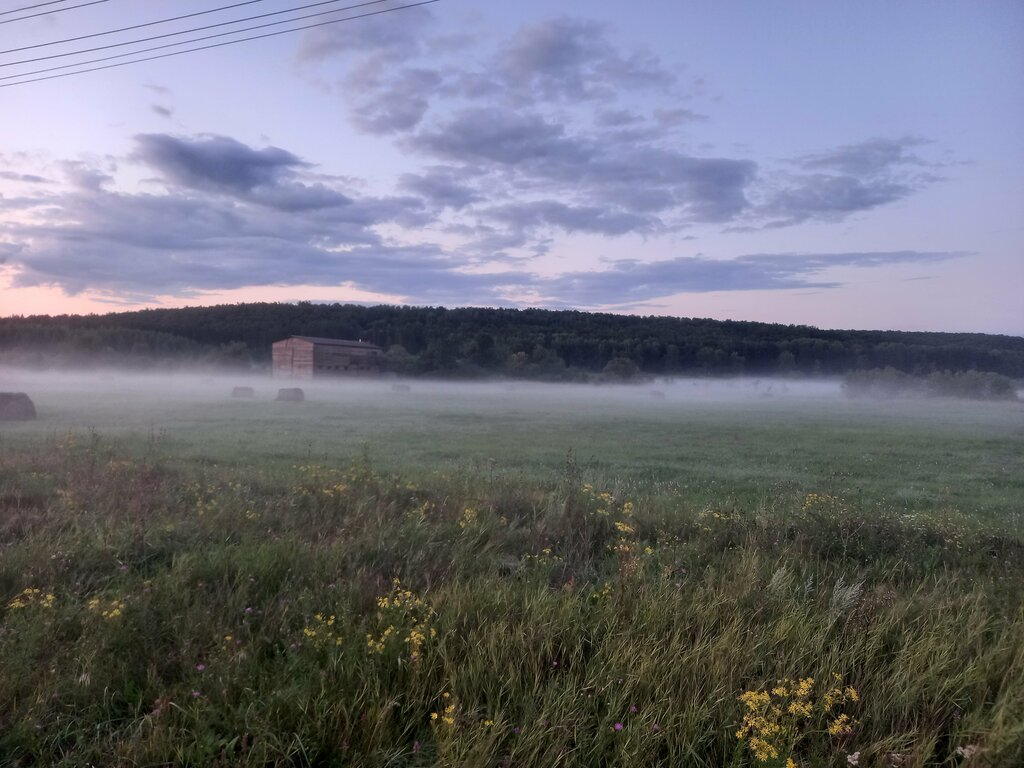 Dağ zirvesi Лысые горы, Tambovskaya oblastı, foto