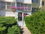 Wildberries (Kalinin Street No:13к60), teslimat noktası  Krasnodar'dan