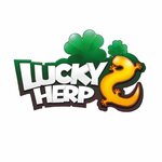 Lucky herp (Gusinobrodskoye shosse No:31), teraryumlar  Novosibirsk'ten