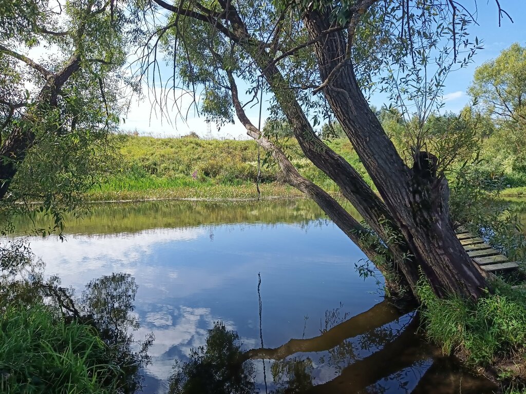 Plaj Пляж, Moskova ve Moskovskaya oblastı, foto