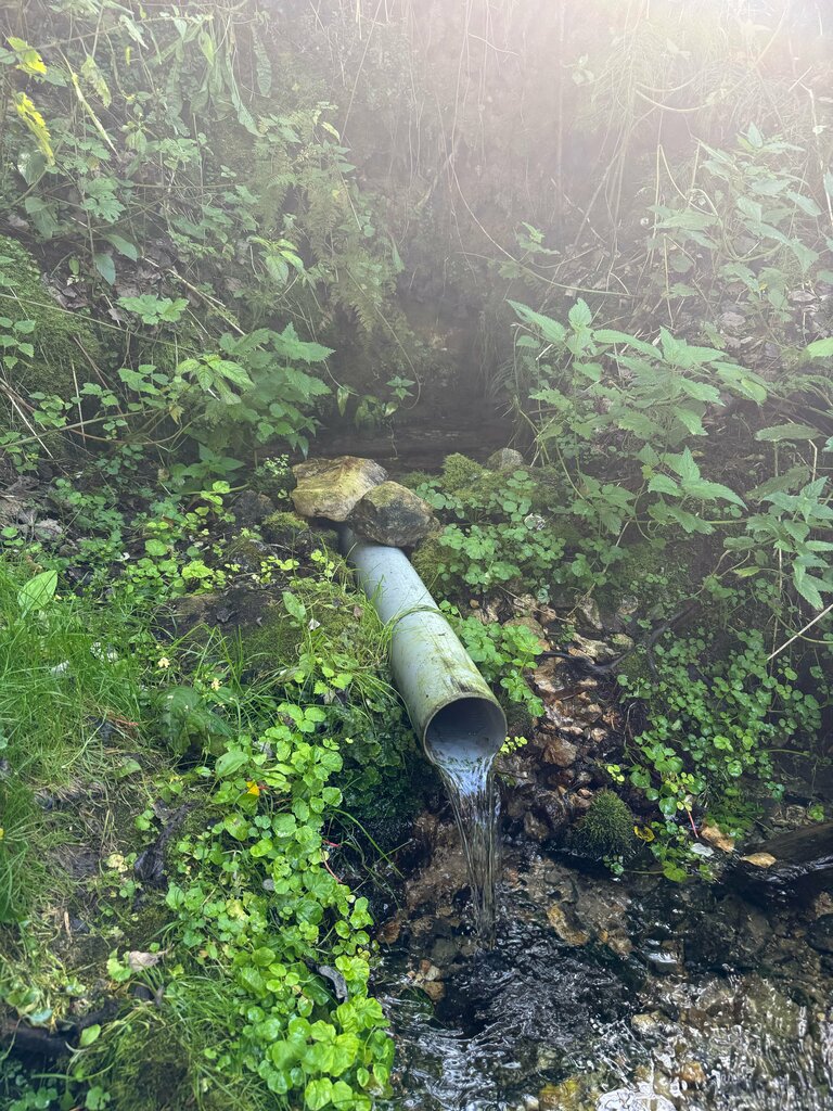 Pınar, çay Spring, stream, Moskova ve Moskovskaya oblastı, foto