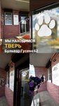 Irina Popova (Guseva Boulevard No:62), manikür-pedikür  Tver'den