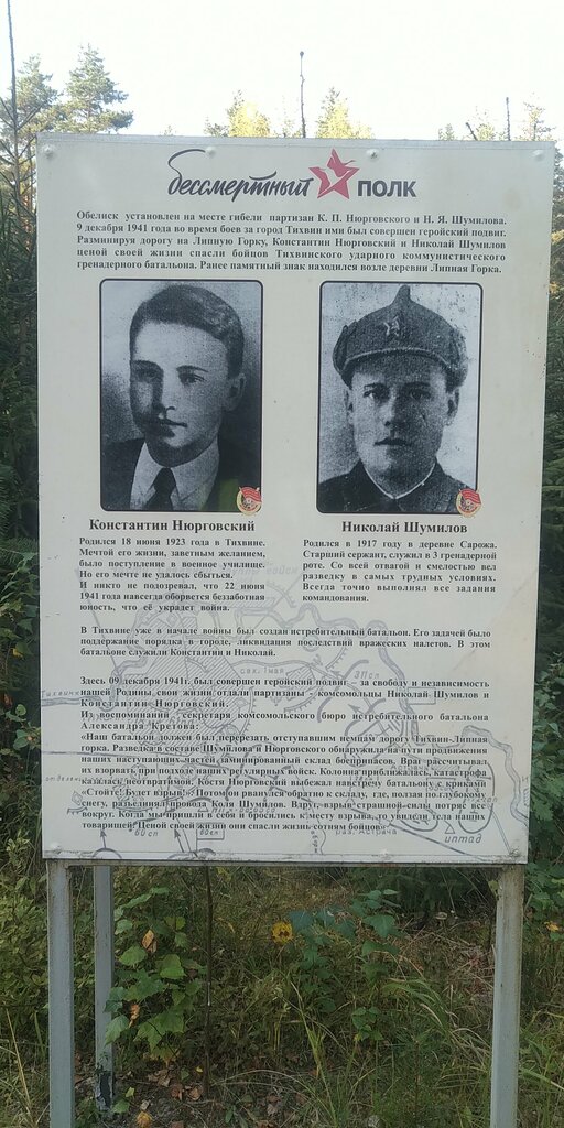 Anıt, heykel Воинам, павшим в годы Великой Отечественной войны, Saint‑Petersburg ve Leningradskaya oblastı, foto
