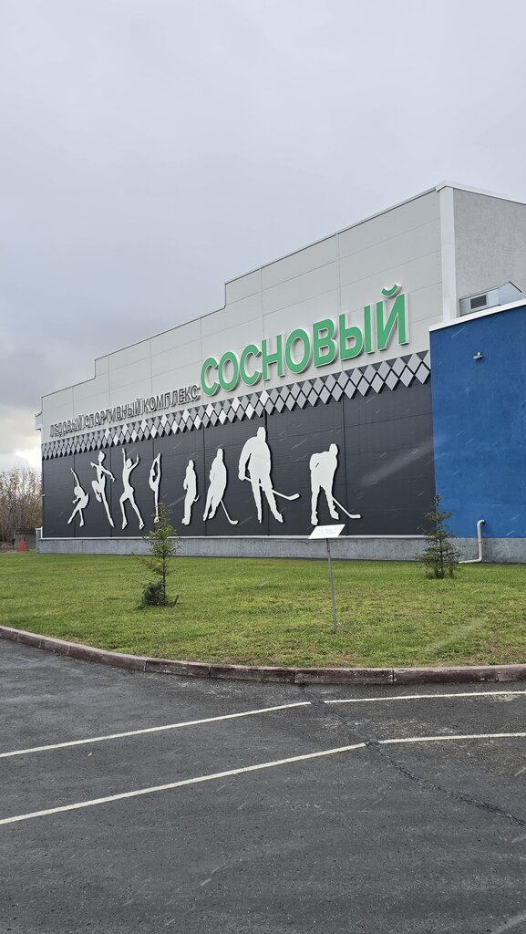 Çok amaçlı spor tesisleri Сосновый, Kemerovo, foto