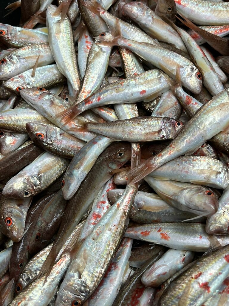 Balık ve deniz ürünleri Карась, Saki (Sak), foto