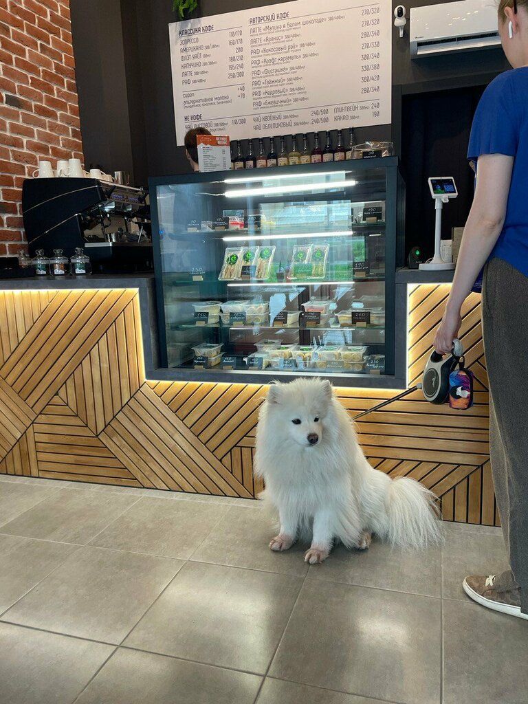 Al götür kahve Сахар, Novosibirsk, foto