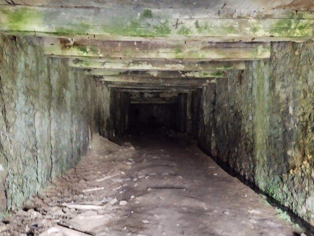 Unutulmaz olayların yeri Штольня имени И.В. Сталина 1934 года постройки, Tquarchal Bölgesi, foto