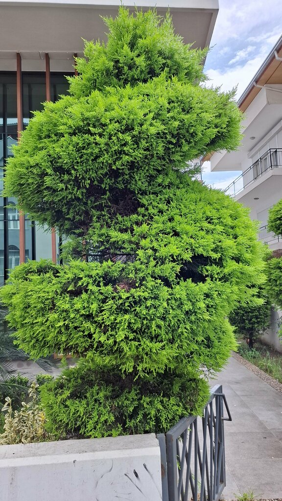 Kültür ve eğlence parkları Manavgat Çocuk Eğlence Parkı, Manavgat, foto