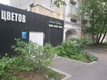 Свифт НП (Shlomina Drive No:6), kömür firmaları  Moskova'dan