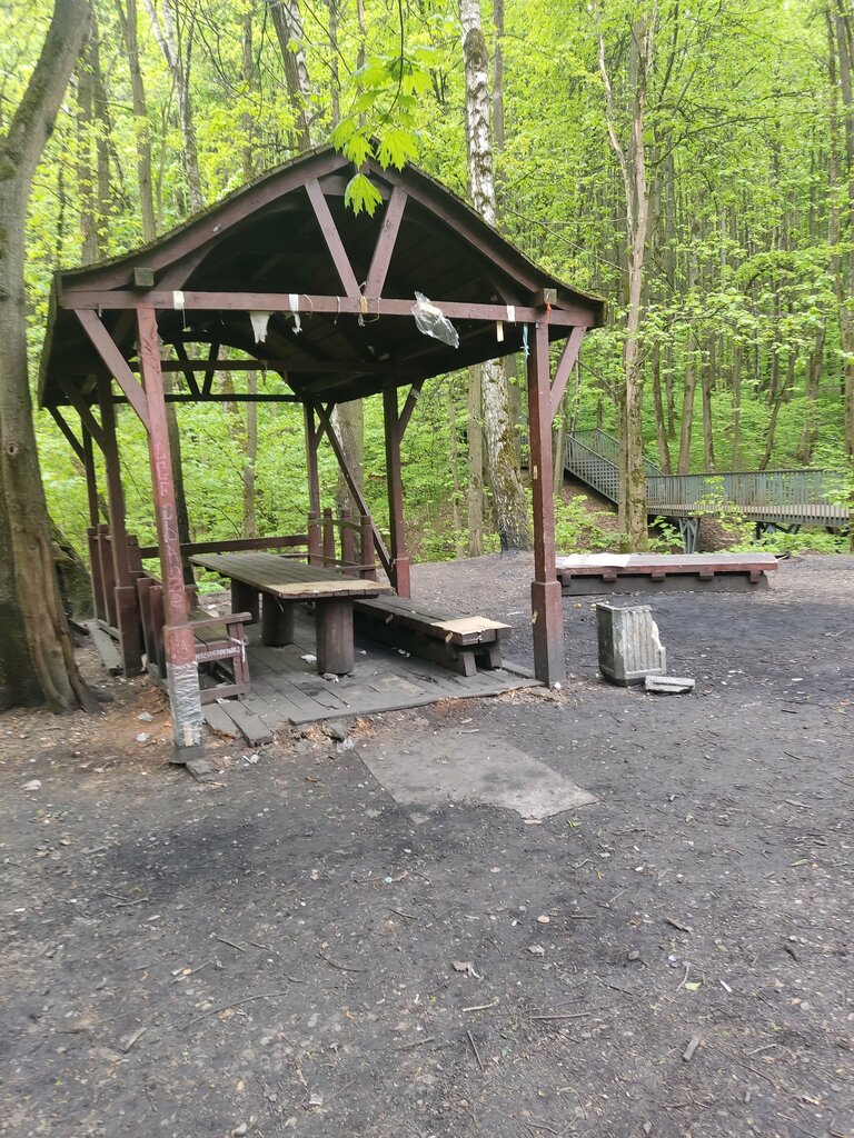 Çardak Gazebo, Moskova, foto