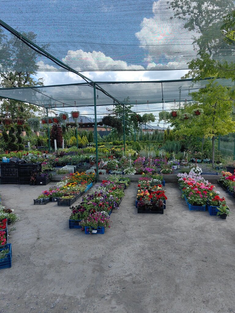 Sera ve bahçe ürünleri Azbuka Rosta, Rostovskaya oblastı, foto