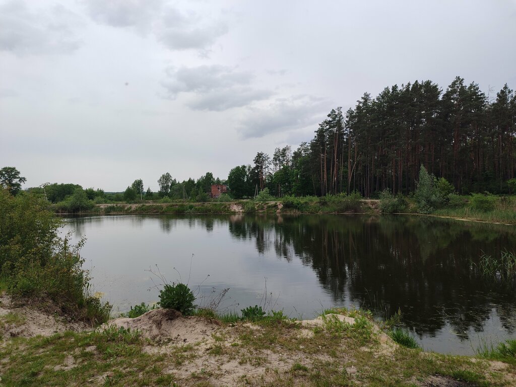 Piknik alanı Место для пикника, Brianskaya oblastı, foto