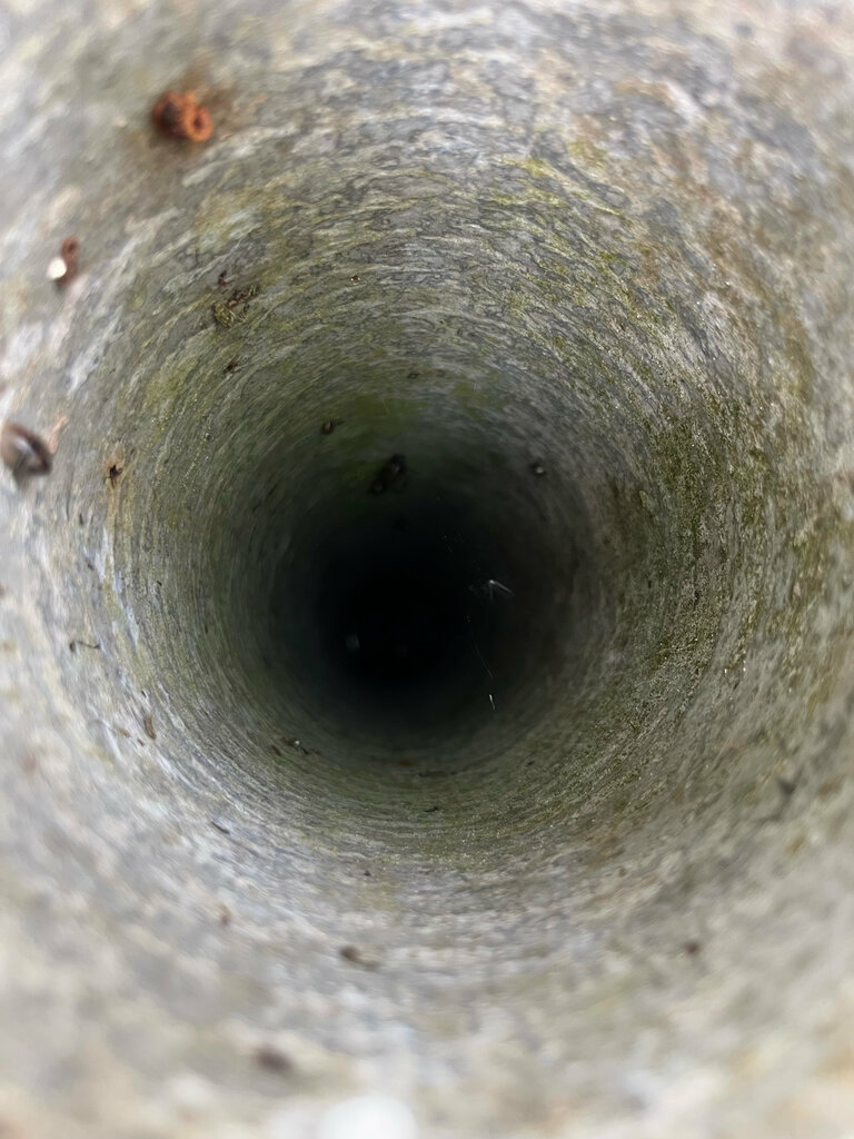 Pınar, çay Виттоловские ключи, Puşkin, foto