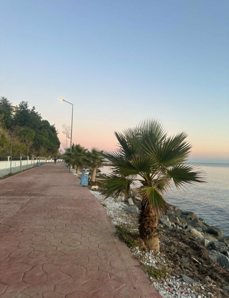 Restoran İnciraltı Restoran, Süleymanpaşa, foto