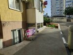 Wildberries (No:19А, Parus Microdistrict), teslimat noktası  Gelencik'ten