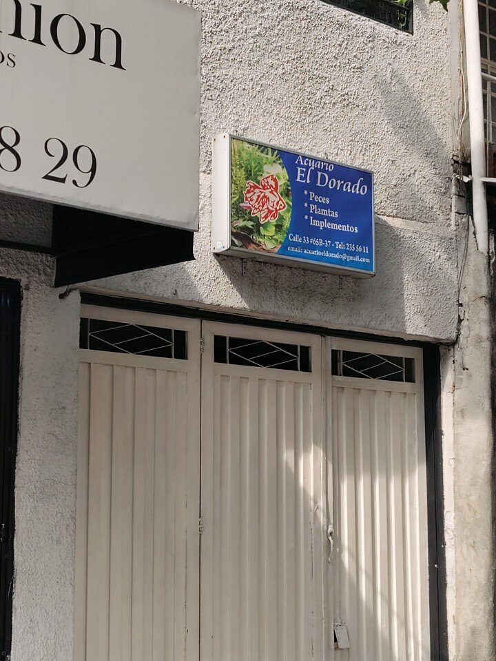 Yapay çam ağaçları ve süsleri Aquarius El Dorado, Medellin, foto