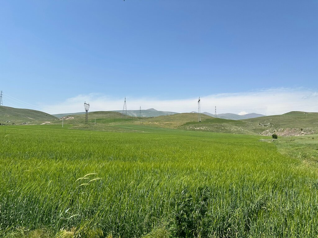 Restoran Krunk, Sünik, foto