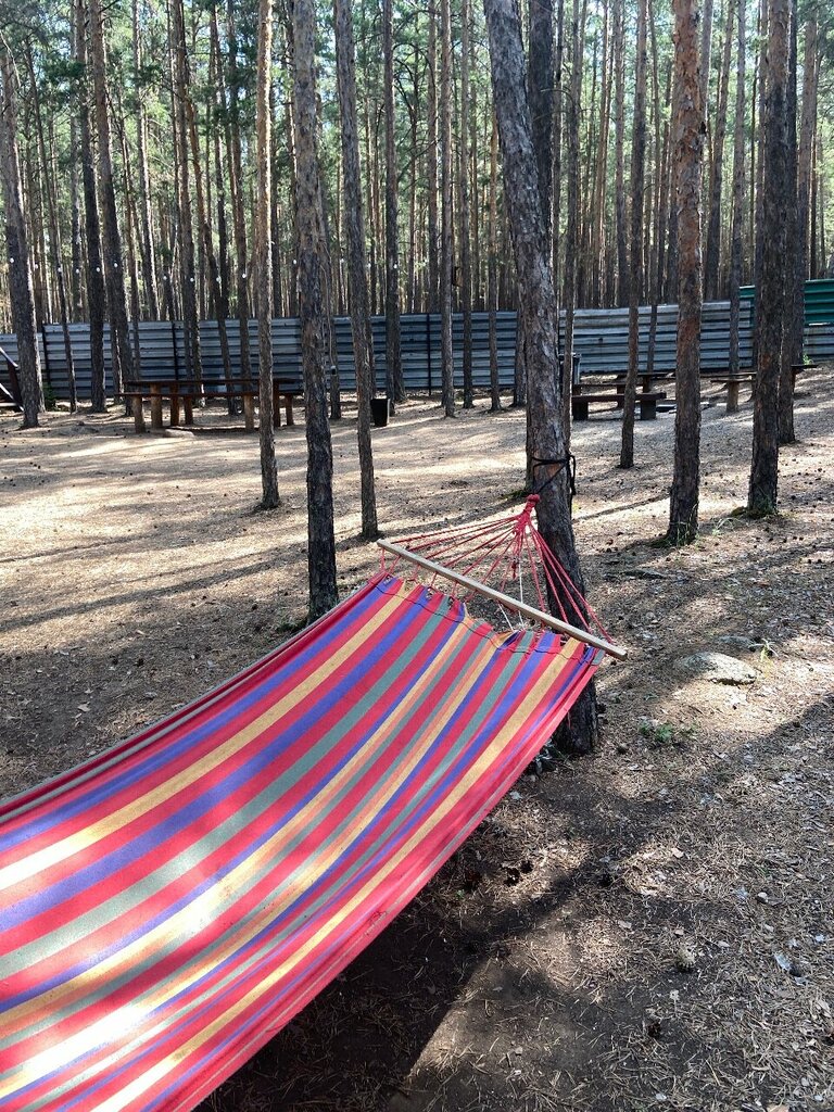 Otel Orman ski, Akmola eyaleti, foto