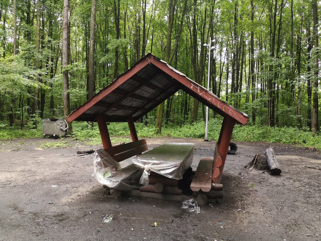 Çardak Gazebo, Moskova, foto