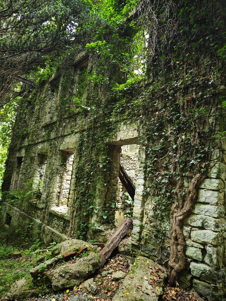 Turistik yerler Руины особняка Поляковых, Soçi, foto
