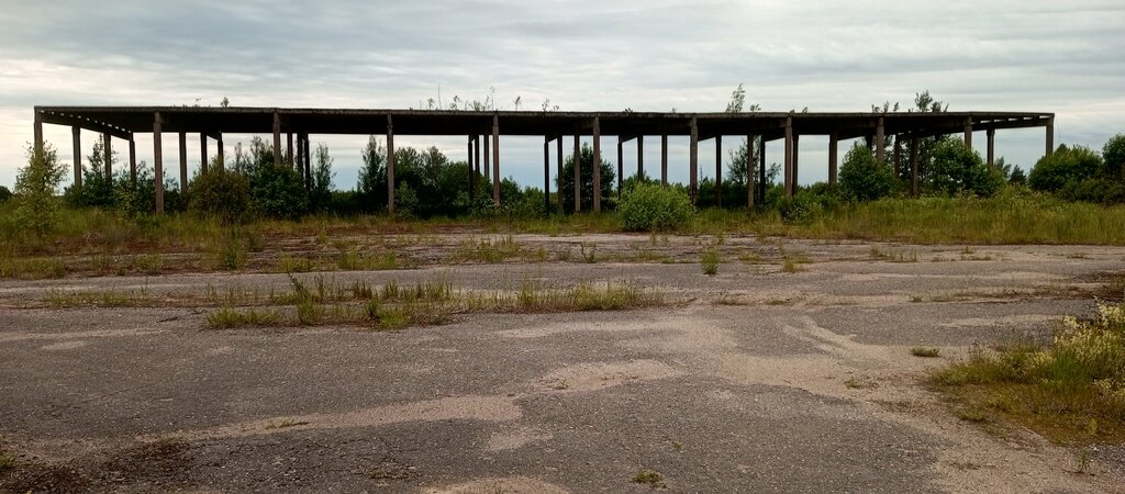 Hava meydanı аэродром Заборовье, Pskovskaya oblastı, foto