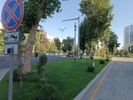 Conservatory (Tashkent, Botyr Zakirov Street), toplu taşıma durağı  Taşkent'ten