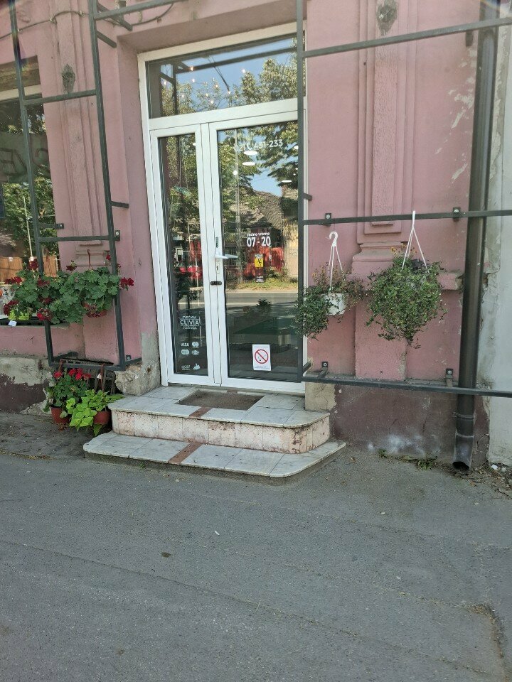 Çiçekçiler Цвећара Кливиа, Güney Backa İlçesi, foto