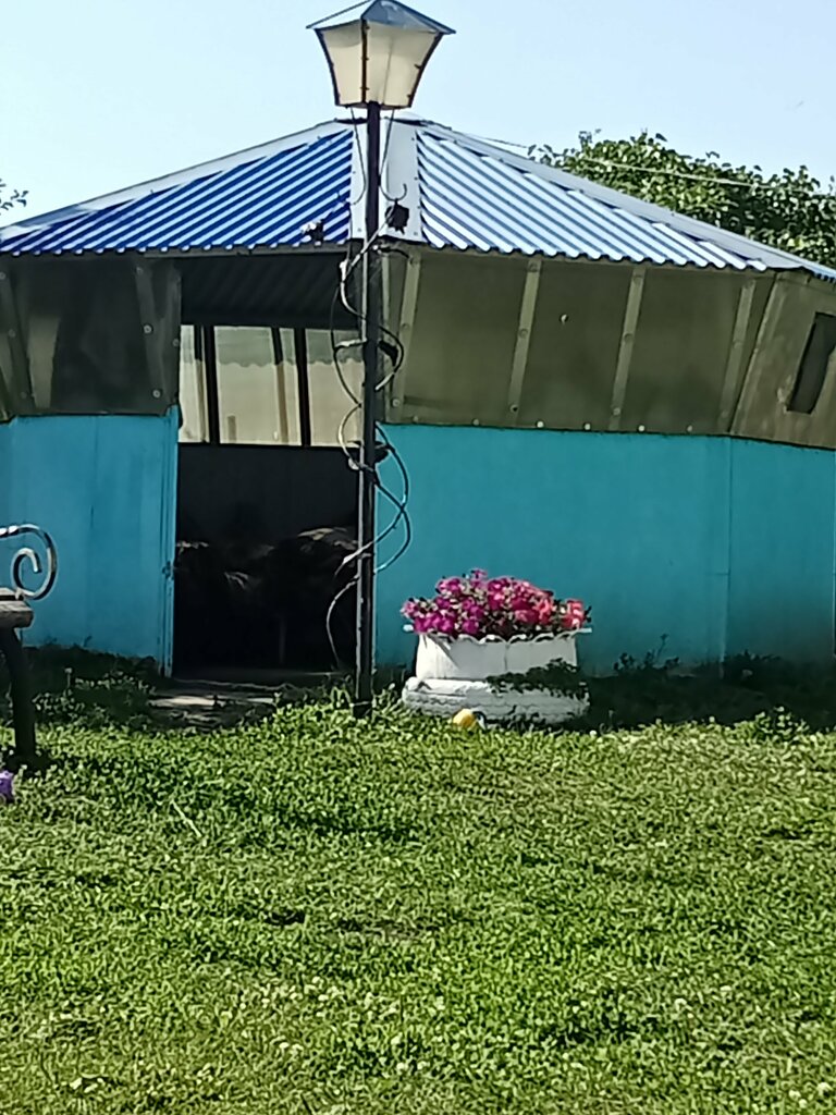 Ortaokul Tatarsko-Tavlinskaya School, Mordovya, foto