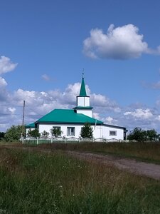 Нижнеаремзянская Мечеть (Beregovaya ulitsa No:31, derevnya Nizhniye Aremzyany), cami  Tümen (Tiumenskaya) oblastından