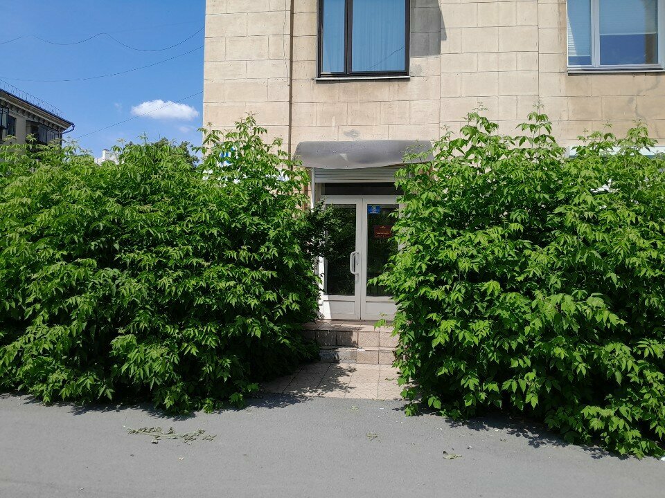 Hukuk büroları Бизнес-профи, Magnitogorsk, foto