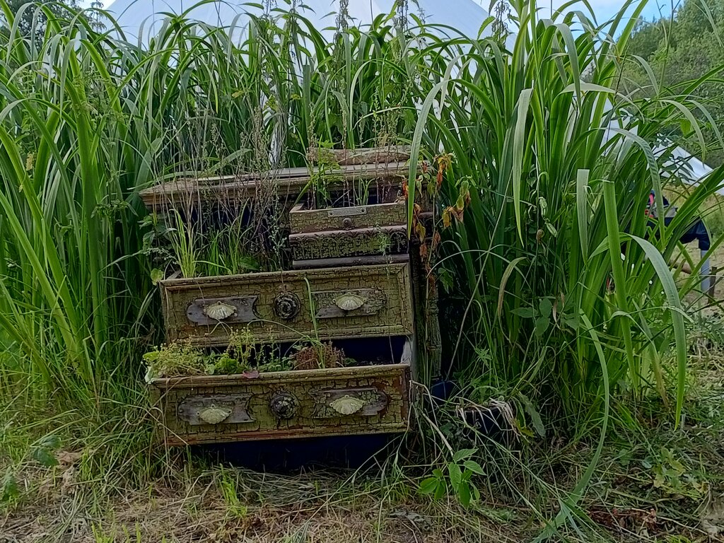 Çiftlik tatili Ферма Приземленные, Çeliabinskaya oblastı, foto